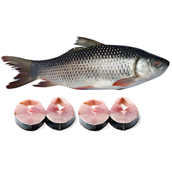Fresh Whole Rohu Fish – Dera Farms