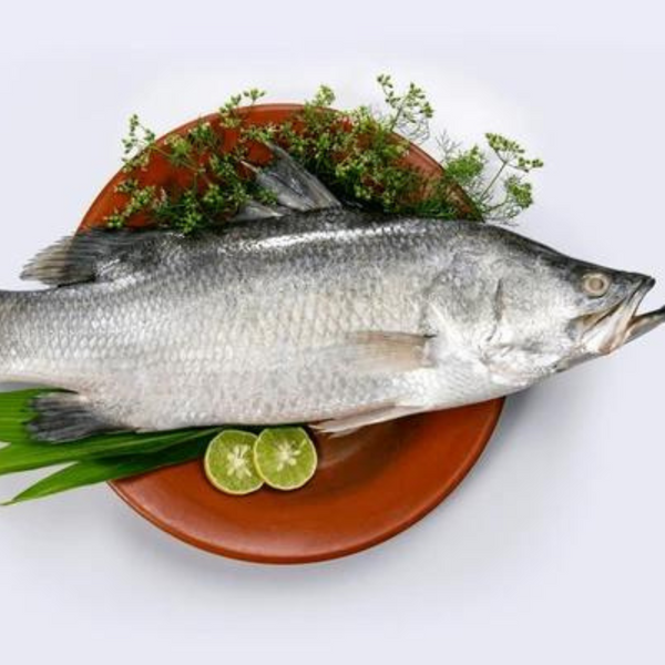 Fresh Whole Betki – Dera Farms