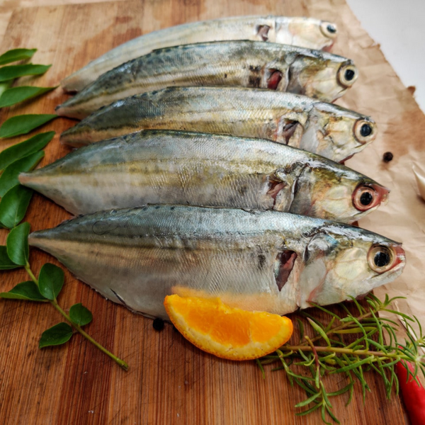 Fresh Mackrel – Dera Farms
