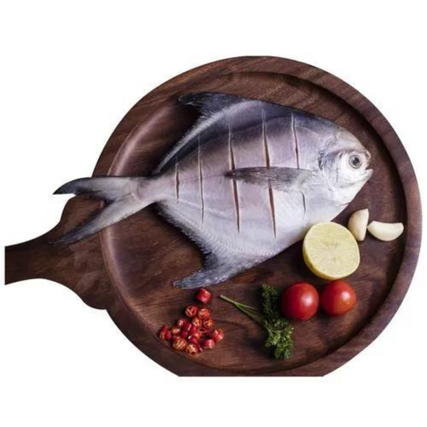 Fresh Whole White Pomfret – Dera Farms